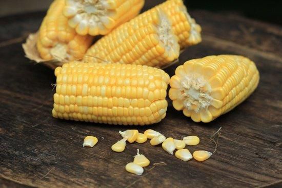Why you must eat corn everyday | Pulse Ghana
