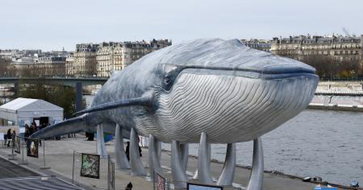 Climate talks enter next phase, toughest decisions ahead | Pulse Ghana