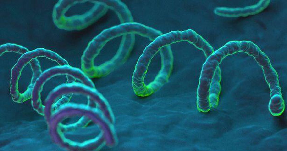 Syphilis, trypanosomiasis taxing to people living in tropics, says ...