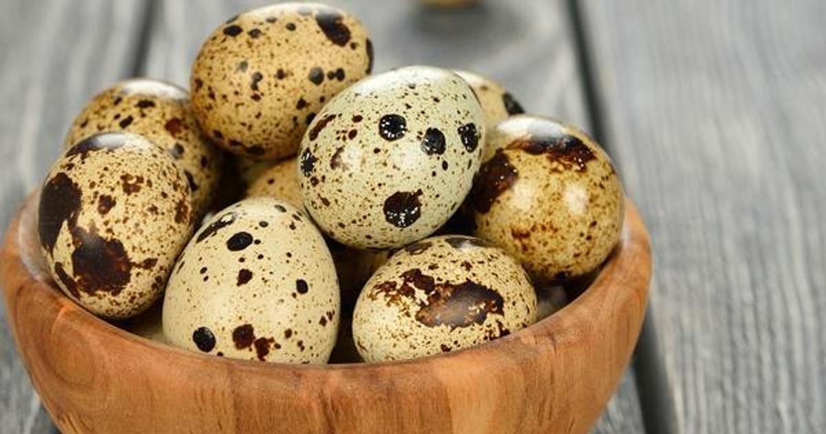 Quail eggs: 4 reasons why you should consume more of it | Pulse Ghana