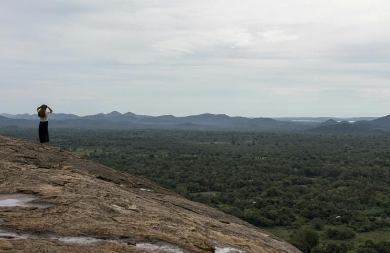 Sri Lanka to ban chainsaws, timber mills: president | Pulse Ghana