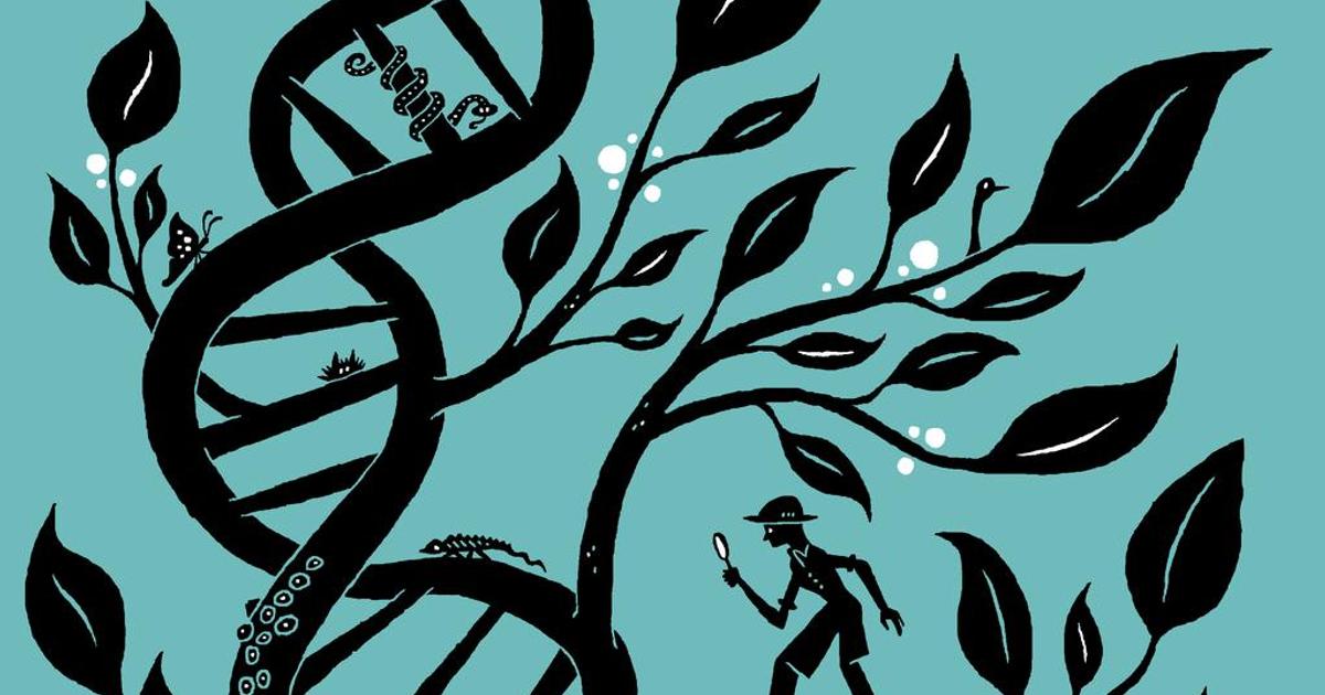 This Tiny Creature Seemed Extinct. DNA Technology Helped Prove It Wasn ...