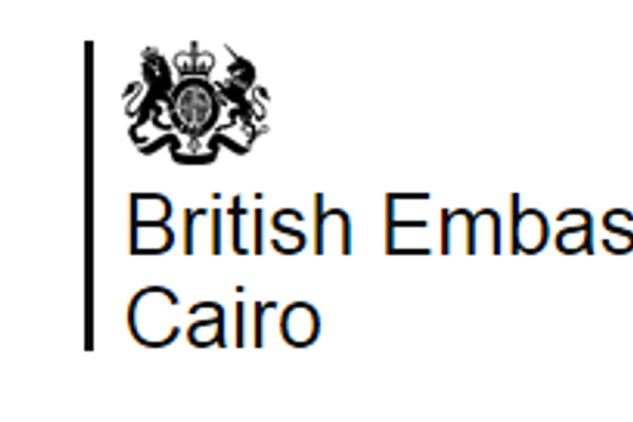 Coronavirus - Egypt: British Embassy holds virtual healthcare webinar ...