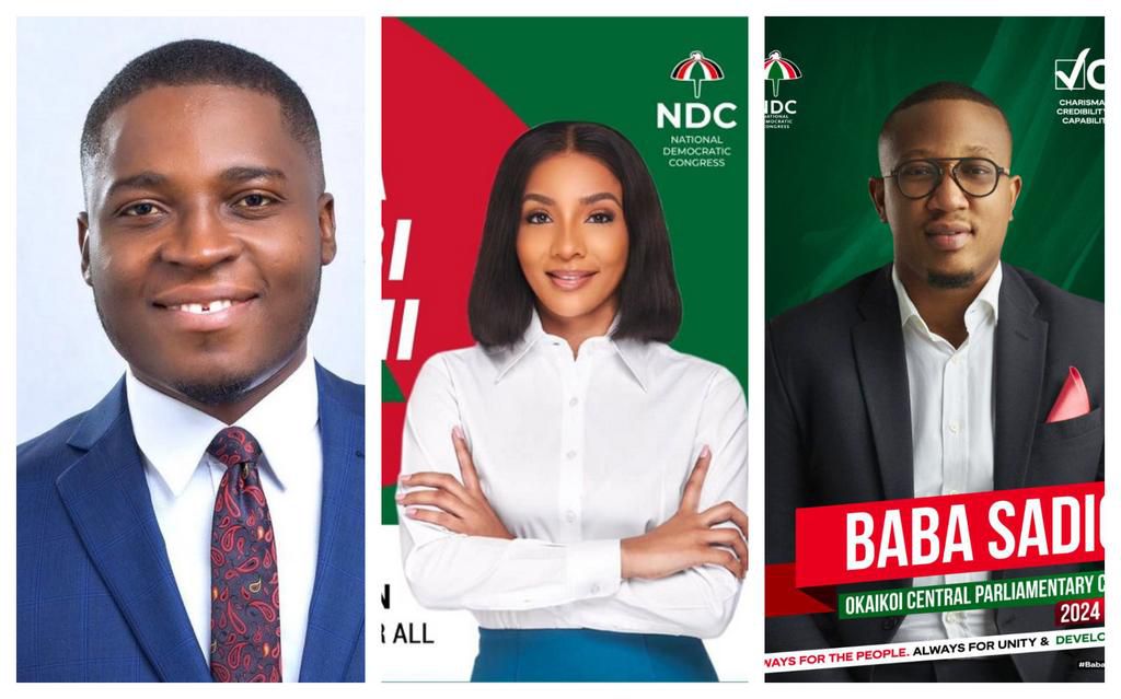 Here are 7 ‘freshers’ contesting to be MPs on ticket of NDC | Pulse Ghana