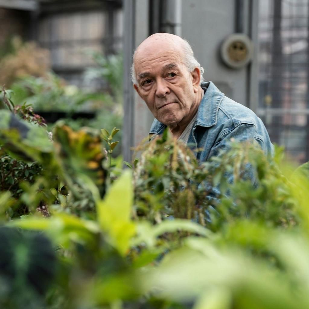 Breaking Bad actor Mark Margolis dies | Pulse Ghana