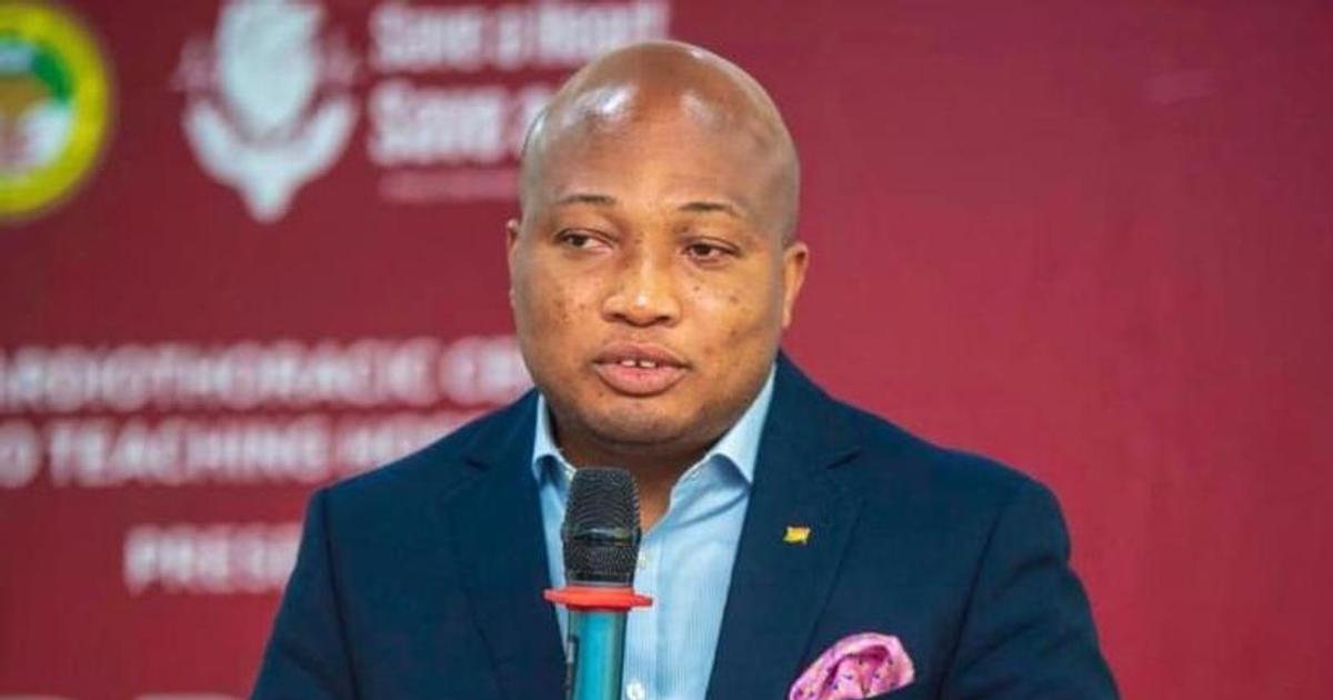 Akufo-Addo’s daughter, niece ‘stealing’ state lands – Ablakwa alleges ...