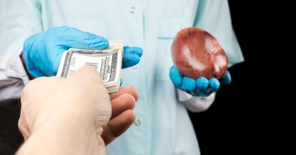 3 reasons organ harvesting is on the rise and how to be safe in these ...