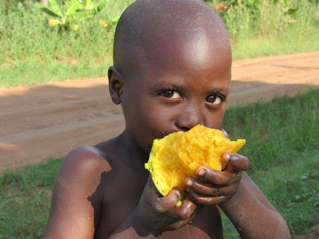 10 classy ways to eat mango | Pulse Ghana