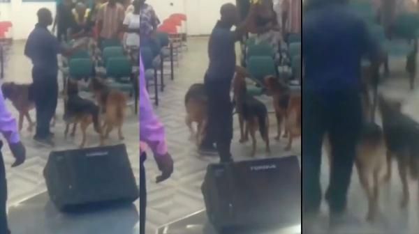 Angry man storms church during prayer and tongue-speaking with 3 wild ...