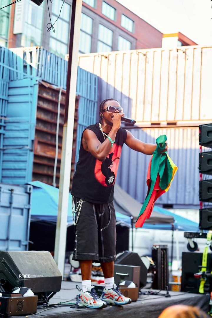 Big WU heats-up the stage at DMV Party in the Park USA | Pulse Ghana