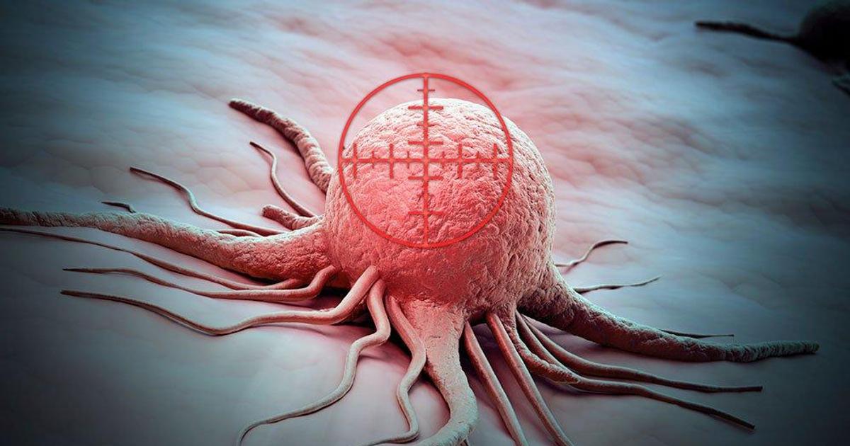 The same bugs that cause food poisoning may fight cancer | Pulse Nigeria