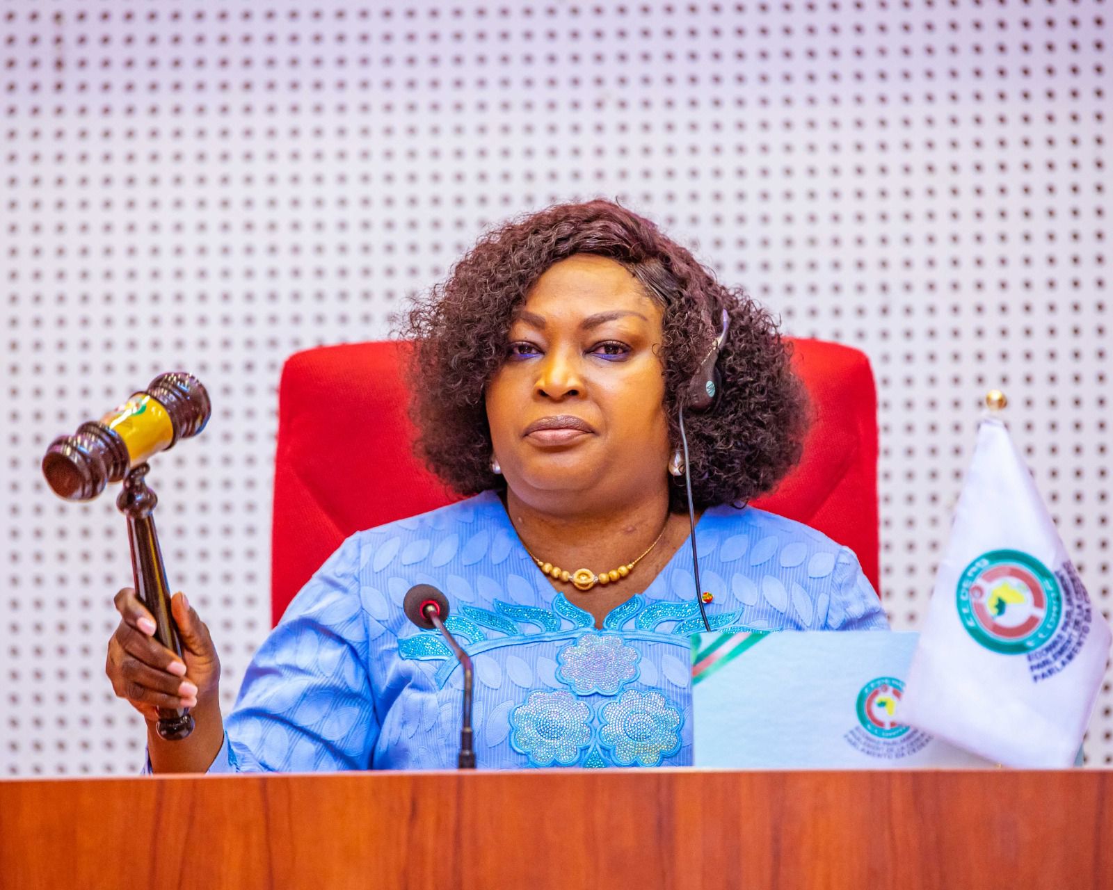 ECOWAS Parliament sets up committee to avert crisis in Guinea-Bissau, Sierra Leone | Pulse Nigeria