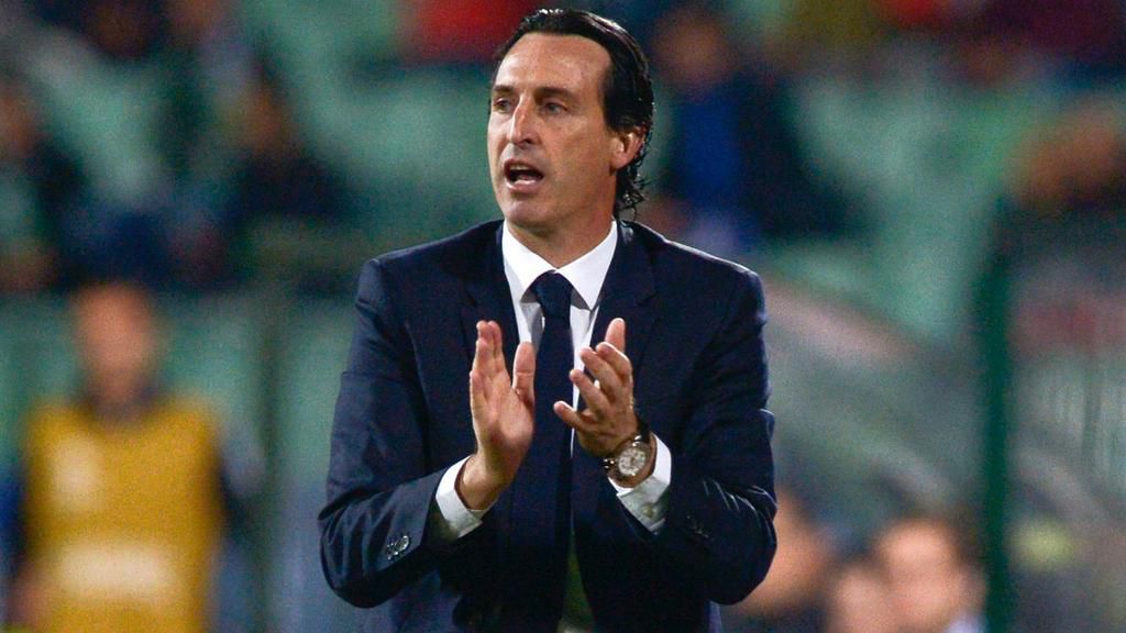 Unai Emery: Patience key to Paris Saint-Germain victory | Pulse Nigeria