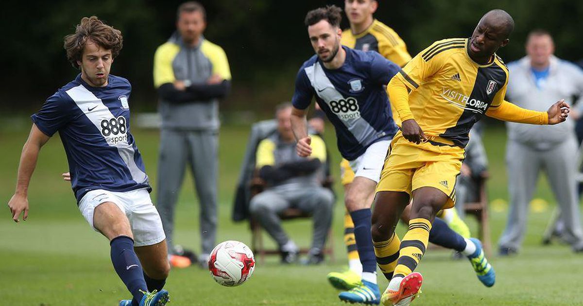 Nigeria international scores on Fulham debut | Pulse Nigeria