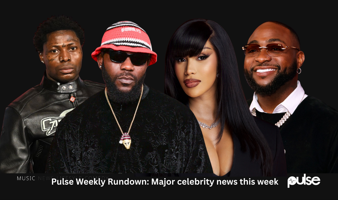 Pulse Weekly Rundown: Davido vs Wizkid feud intensifies, other major celebrity news this week ...
