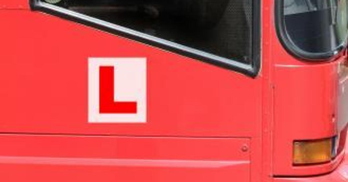 Monkey goes viral after stealing a bus while its driver was asleep ...