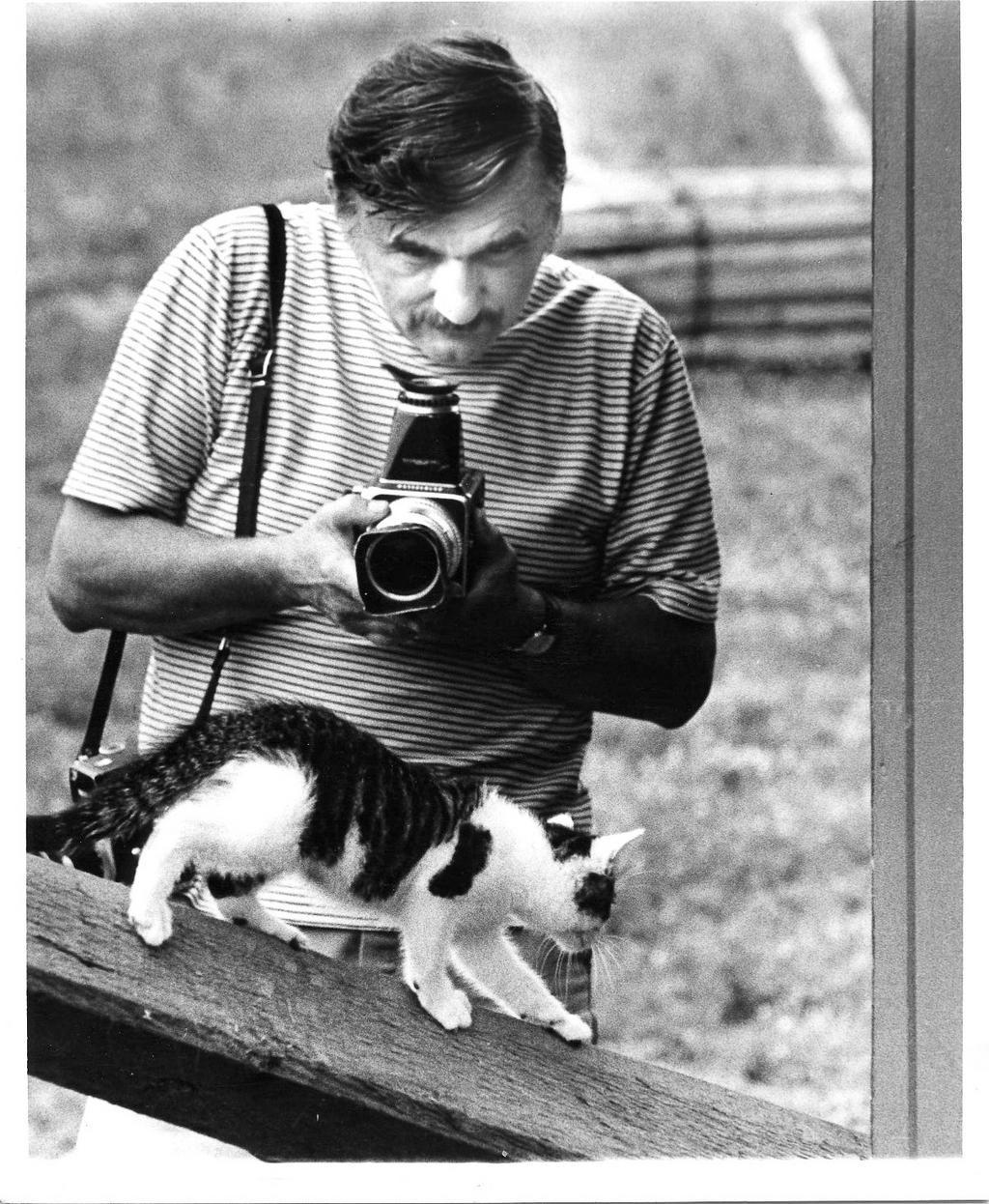 Walter Chandoha, 98, Photographer Who Took 90,000 Cat Pictures, Dies ...
