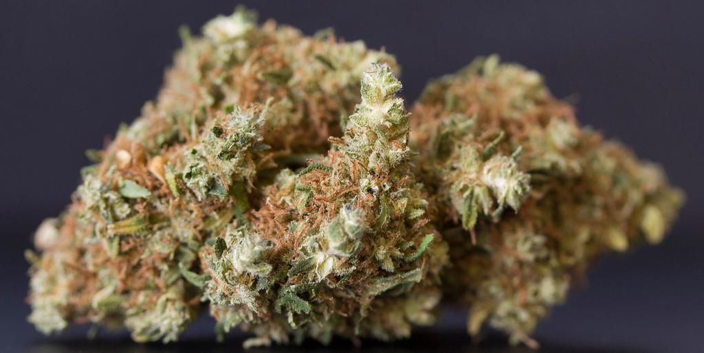 Watch Dr. Pimple Popper Celebrate 4/20 on Instagram With a ‘Sticky ...