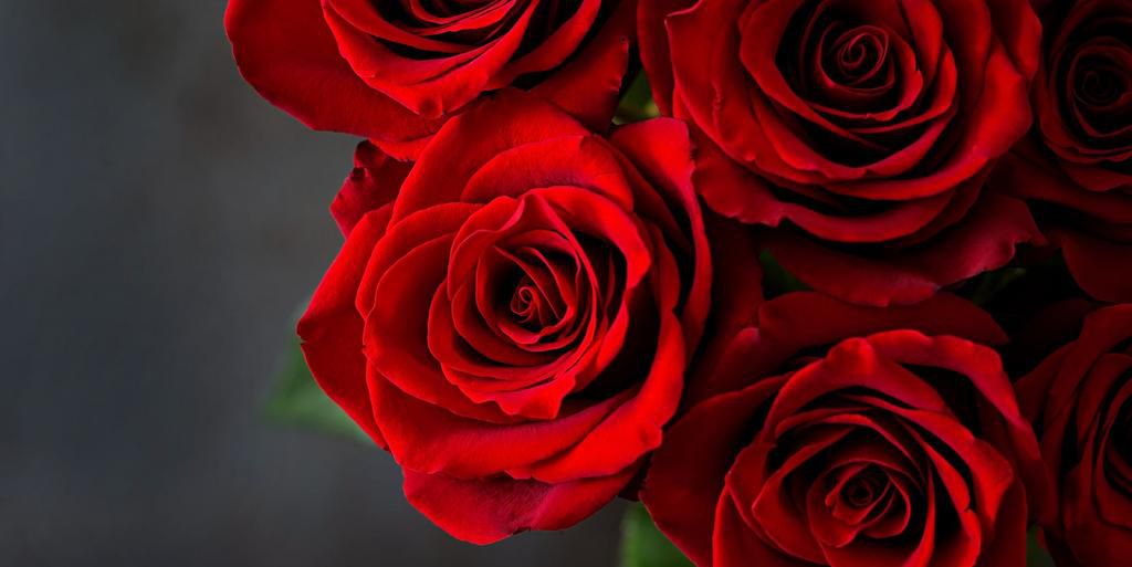 Dr. Pimple Popper Just Popped A 5-Year-Old 'Rose' Cyst In A Woman's ...