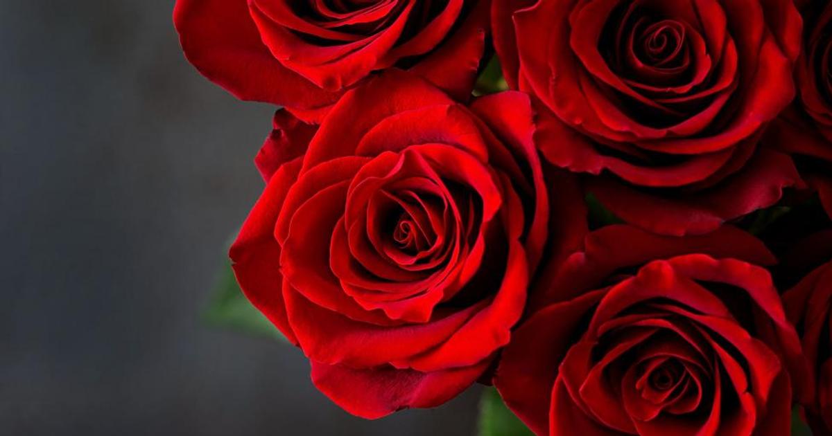 Dr. Pimple Popper Just Popped A 5-Year-Old 'Rose' Cyst In A Woman's ...