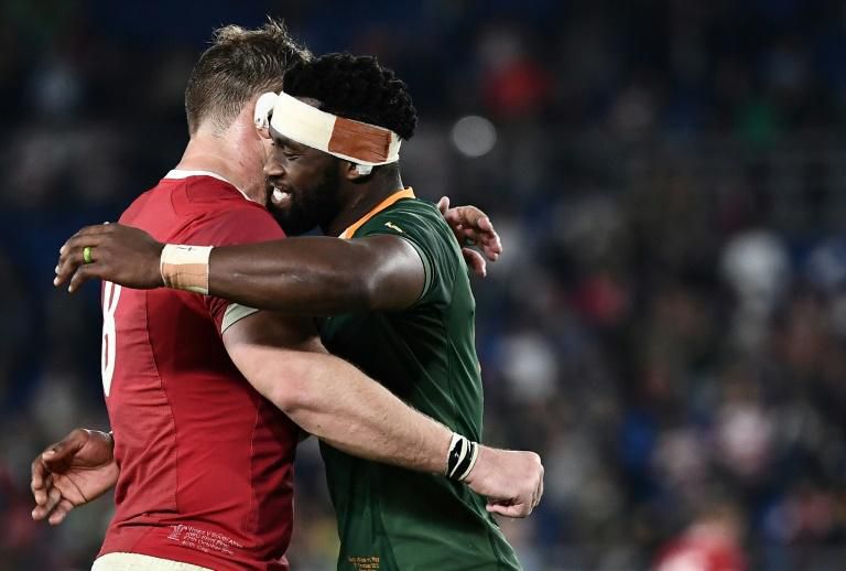 From Mandela to Kolisi, Springboks' long journey to racial transformation | Pulse Nigeria