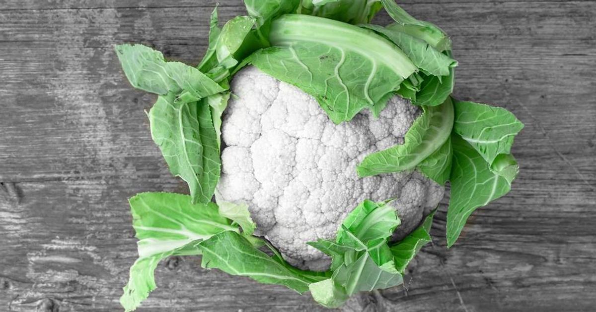 Dr. Pimple Popper Just Removed A 'Cauliflower' From Her Patient's Cheek ...