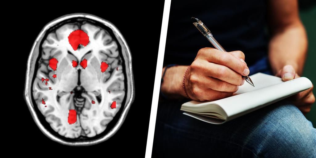 How to Train Your Memory | Pulse Nigeria