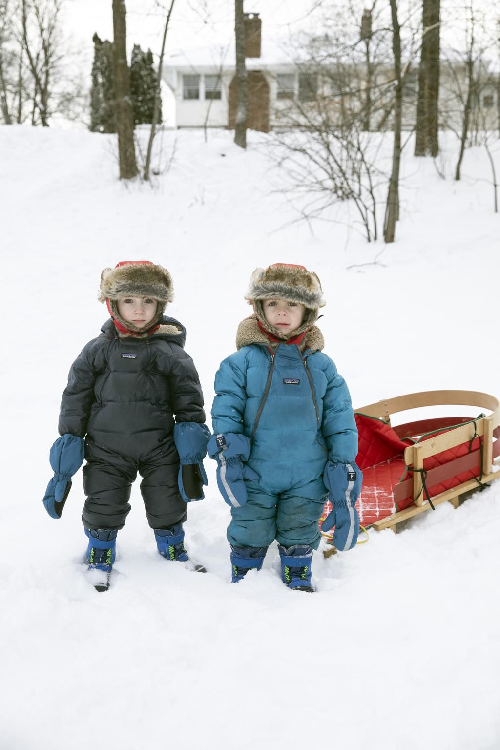 Snow: Check. Sled: Check. Thrills: Check. You Get the Picture. | Pulse ...