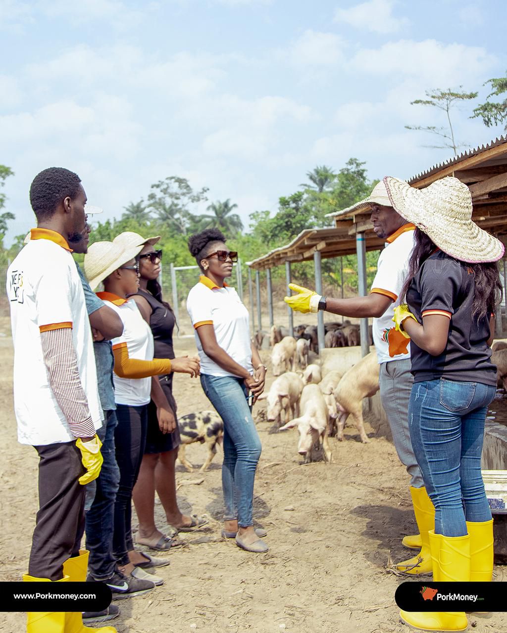 A quick trip to the Porkmoney Ranch | Pulse Nigeria