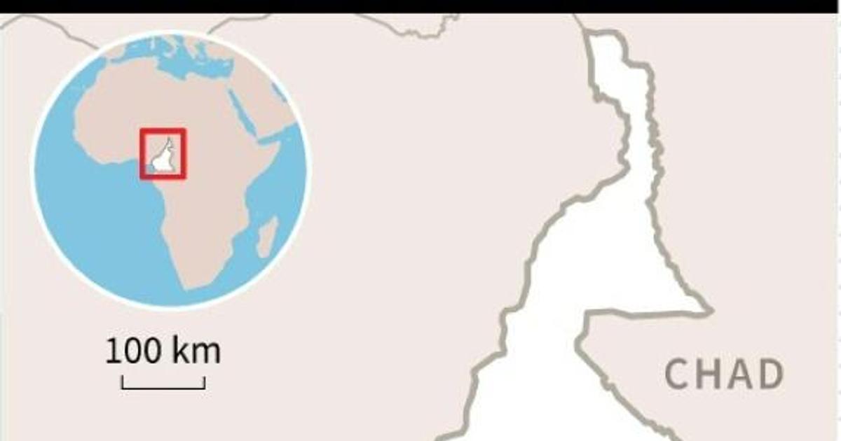 14 children among up to 22 dead in Cameroon massacre: UN | Pulse Nigeria