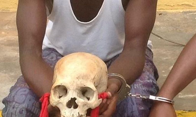 Police nab 3 with human skull in Lagos | Pulse Nigeria