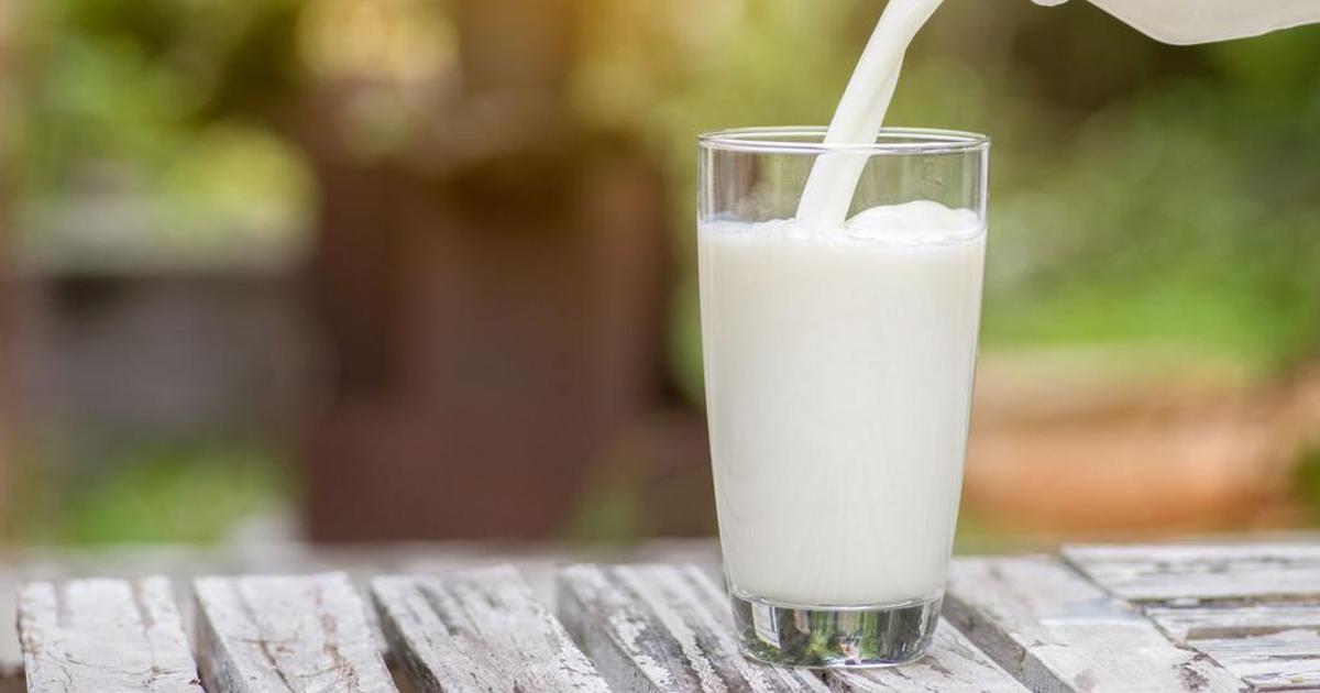 Your Guide To All The Different Types Of Milk In The Dairy Aisle These ...