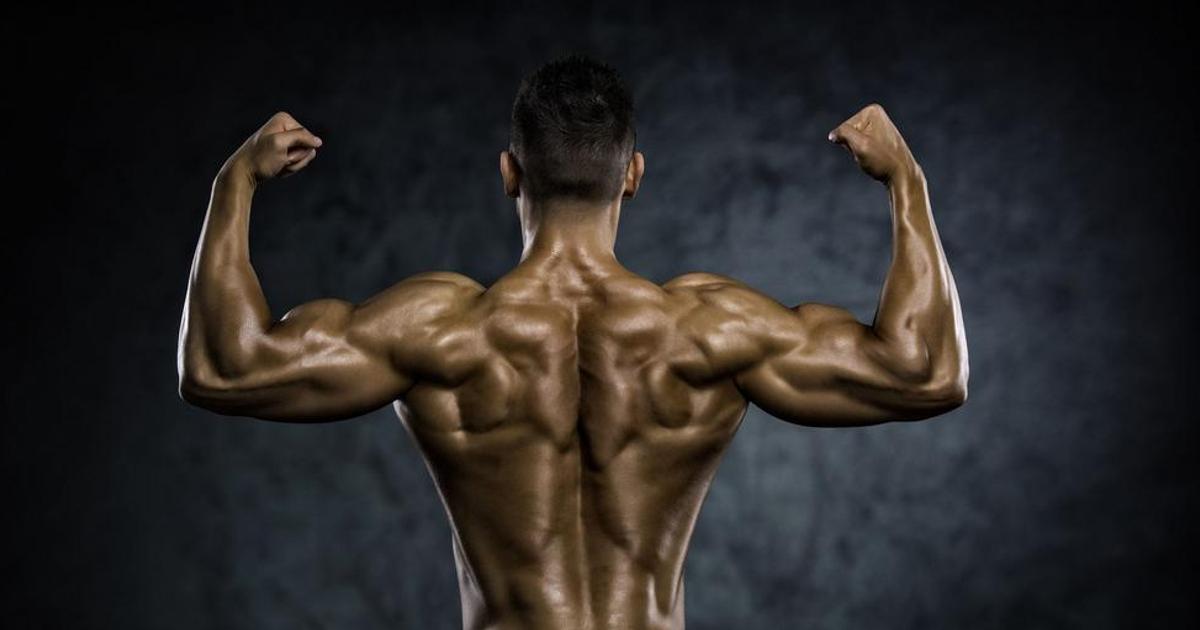 Build Serious Biceps And Killer Back Muscle In Just 35 Minutes | Pulse ...