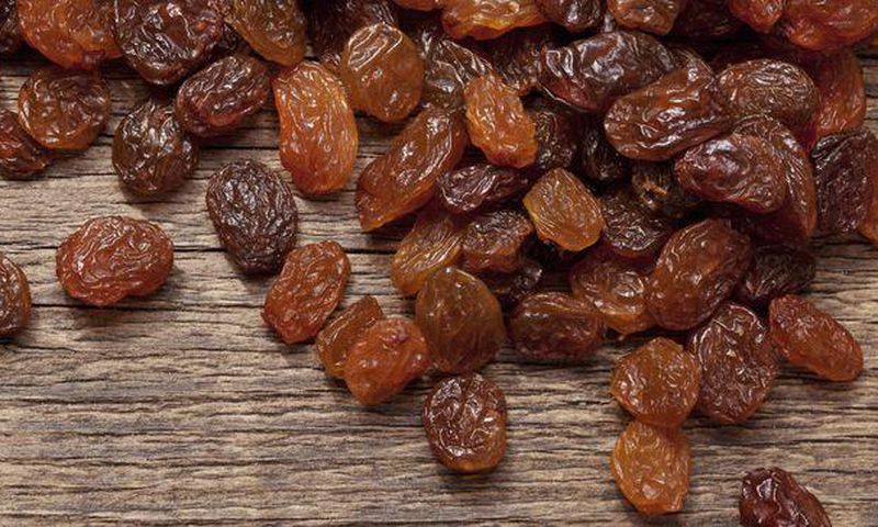 Dr. Pimple Popper Just Popped A 'Raisin' From A Dilated Pore Of Winer ...