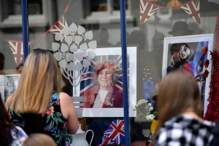 Spitfire tribute as UK says goodbye to WWII icon Vera Lynn | Pulse Nigeria