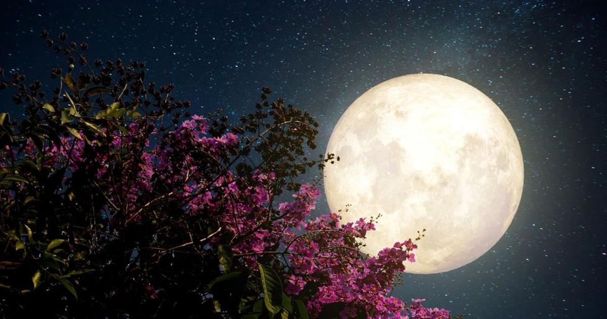 May 2020's Full Flower Super Moon in Scorpio Is Here To Get You All ...