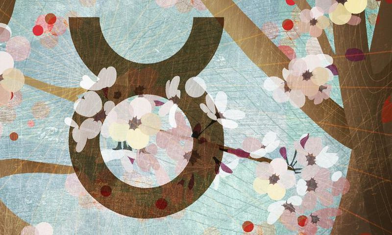 Taurus Season 2020 Is Here, And It’s Going To Help You Enjoy The Little ...