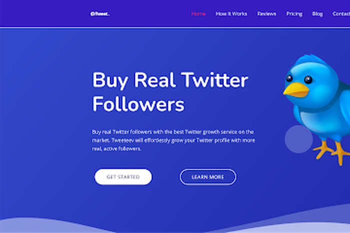 30 best sites to buy Twitter followers that are real & active | Pulse ...