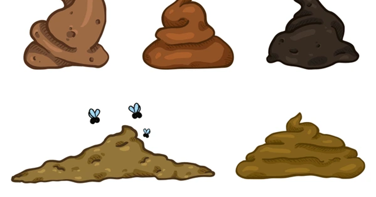 What the colour of your poop says about your health | Pulse Nigeria