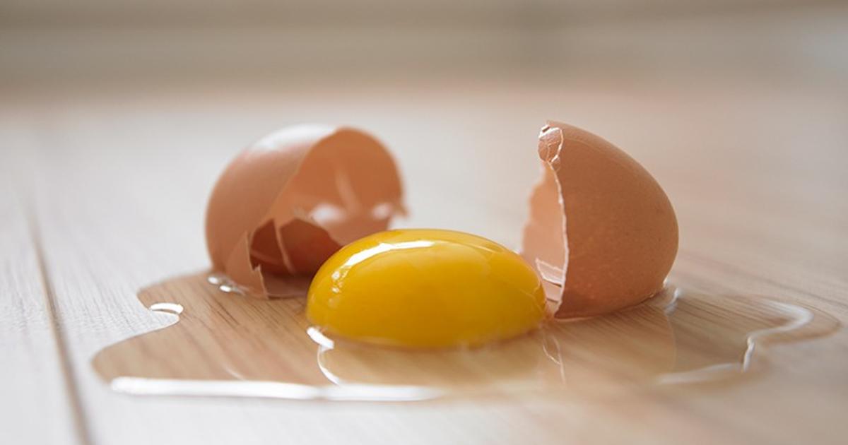 How to easily tell if an egg has gone bad | Pulse Nigeria