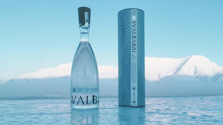 5 most expensive bottled water in the world | Pulse Nigeria