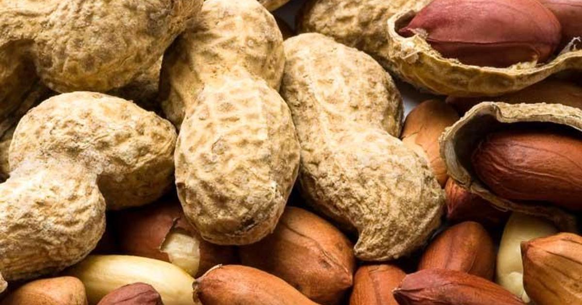 The health benefits of eating groundnuts (peanuts) | Pulse Nigeria
