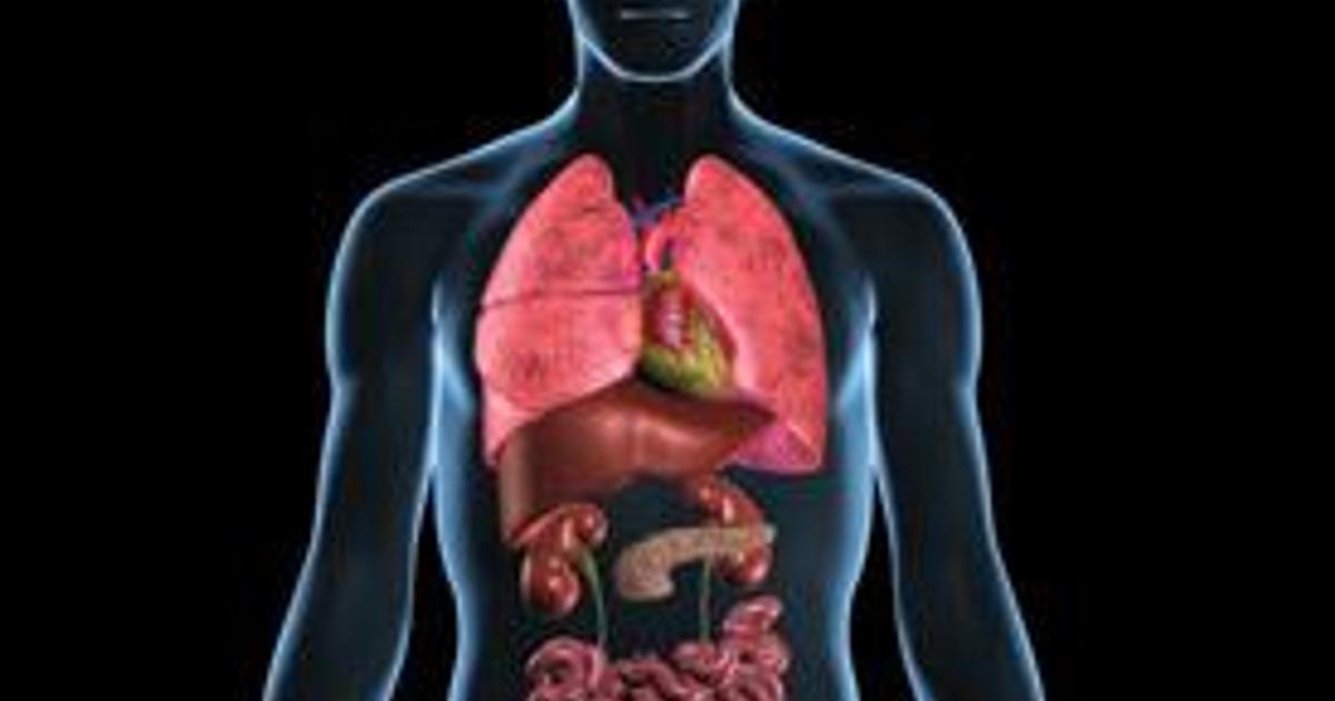 Daily routines to keep your organs healthy | Pulse Nigeria