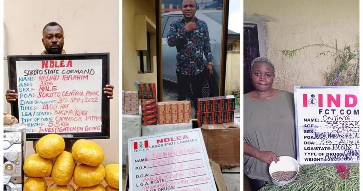 NDLEA recovers 1.2m Tramadol tablets in Gombe, Lagos states | Pulse Nigeria