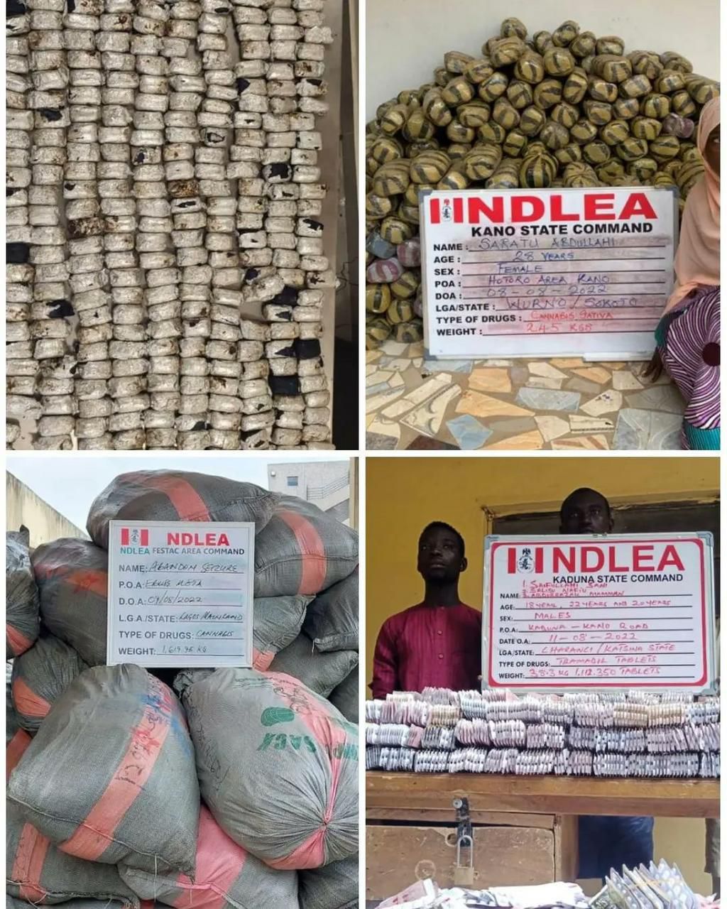 NDLEA uncovers 442 parcels of Crystal Meth in heads of smoked fish ...