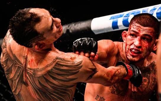 5 of the most dangerous UFC fighters ever | Pulse Nigeria