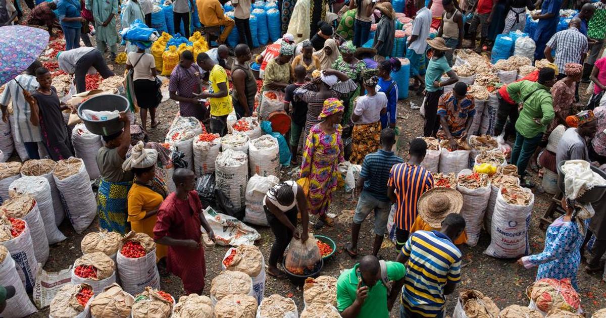 Lagos Govt seals Mile 12, Owode Onirin markets over filthy environment ...