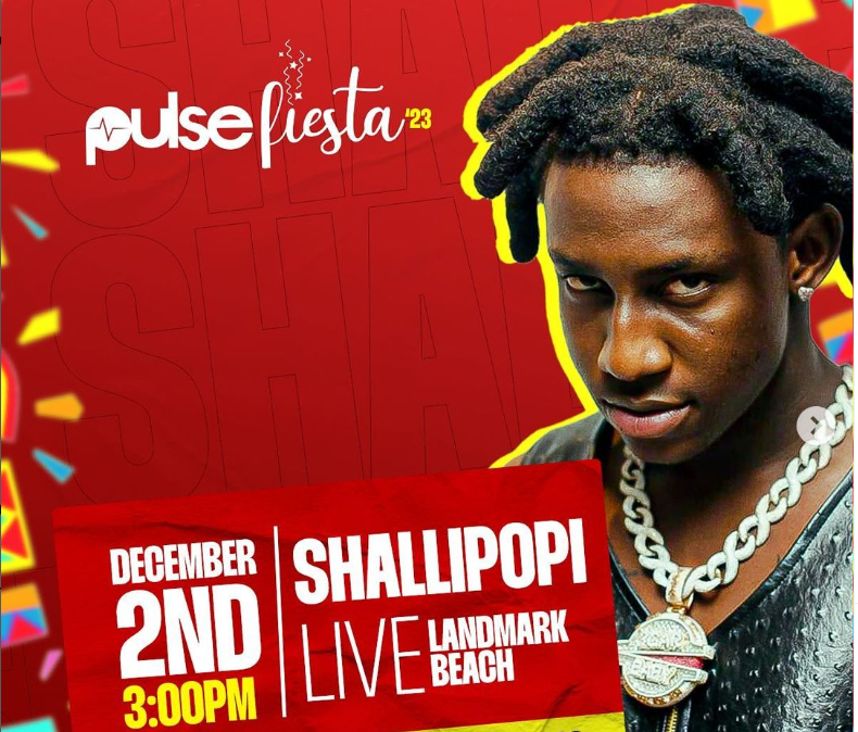Detty December concerts to attend in Lagos, starting with Pulse Fiesta | Pulse Nigeria