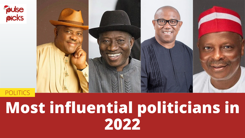 Pulse Picks: Most influential politicians in 2022 | Pulse Nigeria