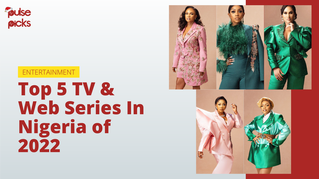 Top 5 TV and web series in Nigeria of 2022 [Pulse Picks] | Pulse Nigeria